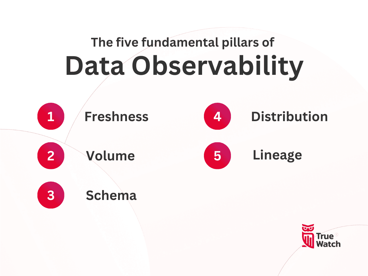 Data Observability 101: What It Is, Tools, and Why You Need It