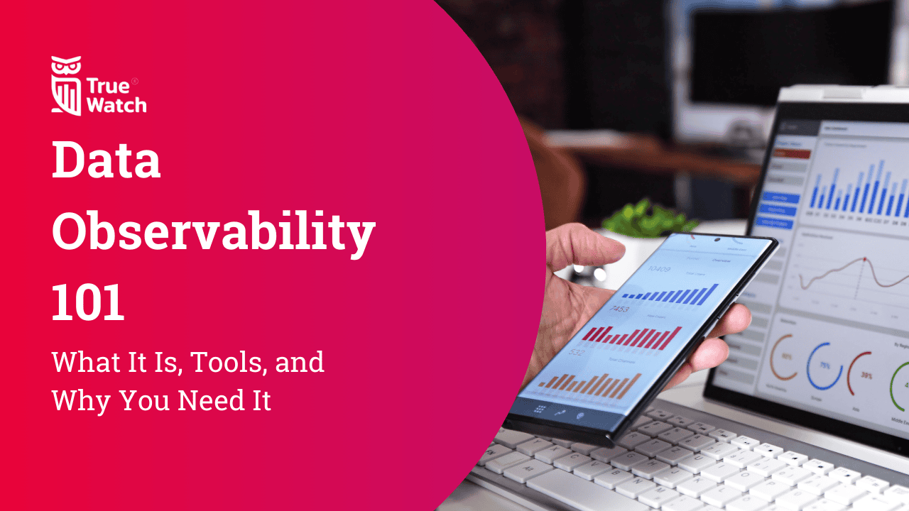 Data Observability 101: What It Is, Tools, and Why You Need It